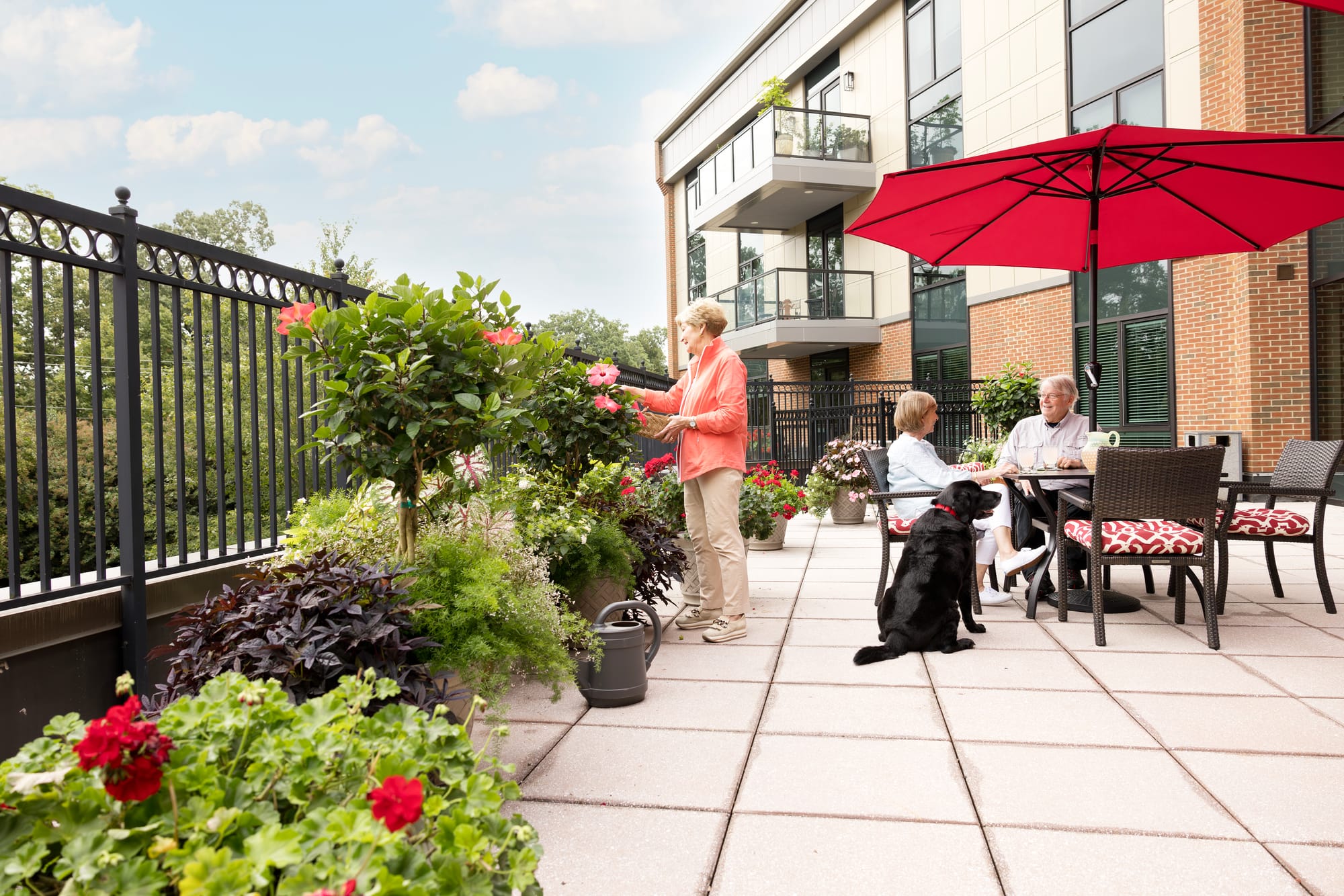 Westminster Canterbury: Lynchburg's Finest Gem