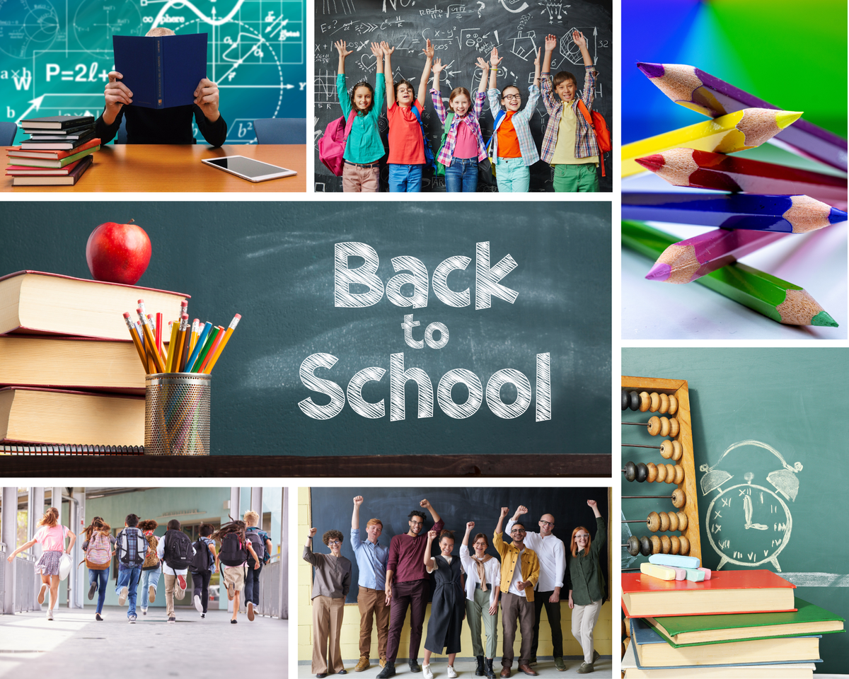 Post Your School Information